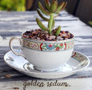 11 Gorgeous Ways To Upcycle Old Tea Cups - Sad To Happy Project